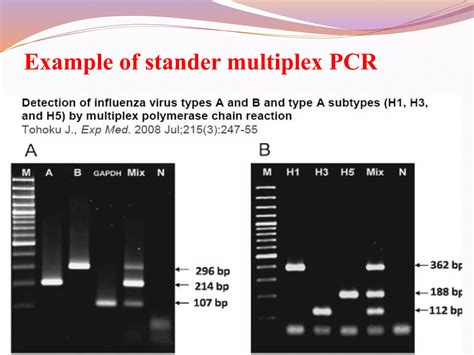 Multiplex Pcr Pptx