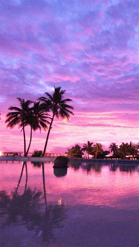 Pink Beach Sunset Iphone Wallpapers Top Free Pink Beach Sunset Iphone