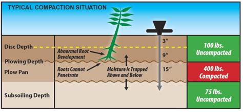 Best Soil Compaction Tester In 2024 Maximize Crop Yield