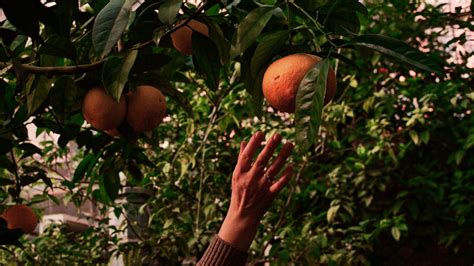 Depth Tool Launched To Help Researchers And Policy Makers Understand How Interventions Place