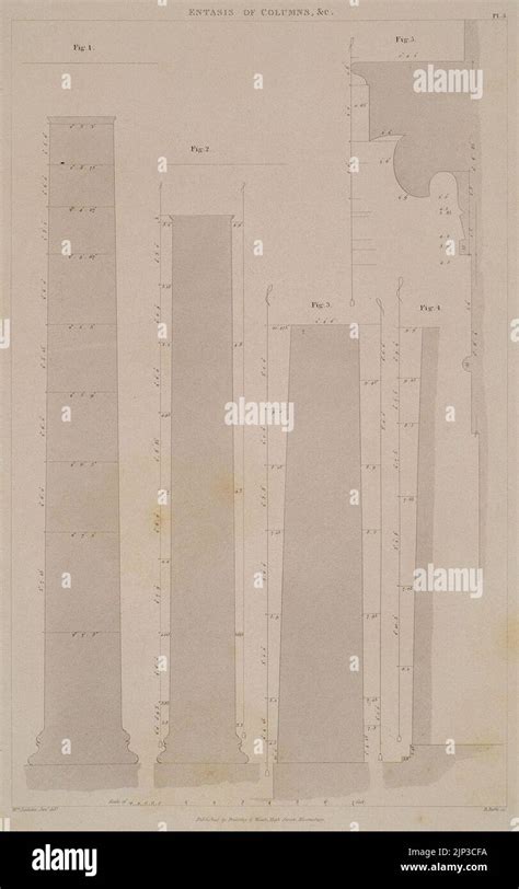 The Entasis Of Various Columns Fig 1 Entasis Of The Columns Of The North Portico Of The Triple