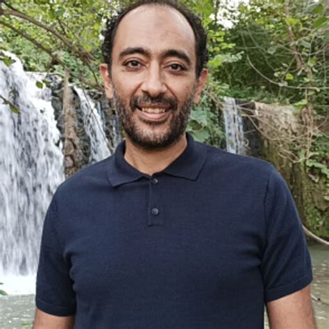 hassan elsayed randd elsewedy electric cairo transformer