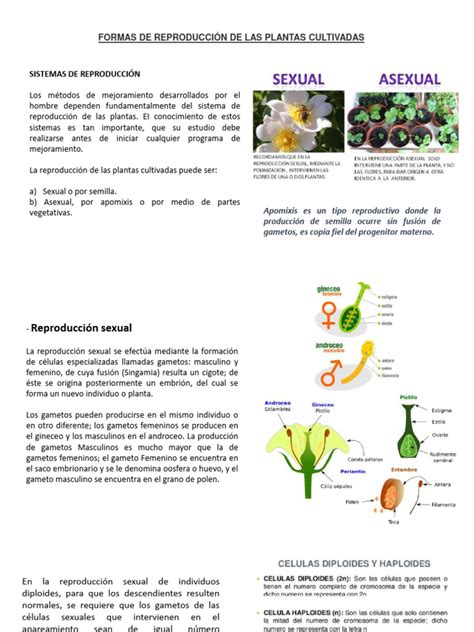 Clase 3 Reproducción Sexual Y Asexual De Las Plantas Cultivadas Pdf