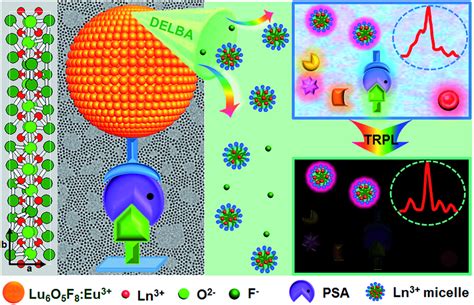 Schematic Illustration Of Psa Detection Utilizing Sub 5 Nm
