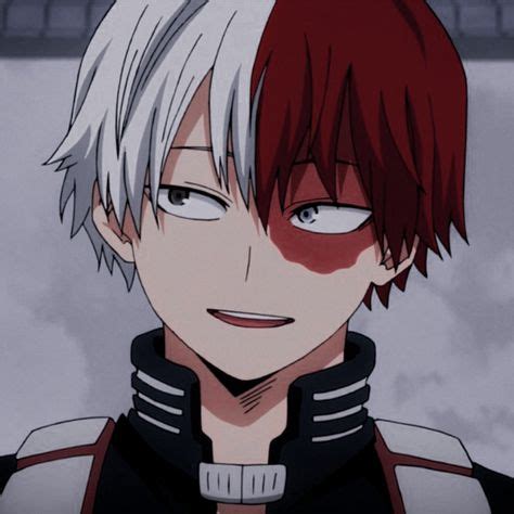 Todoroki Aesthetic Pfp