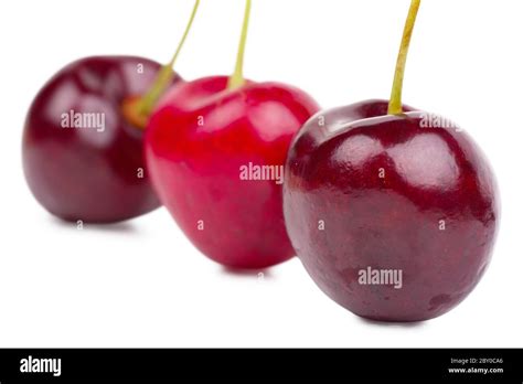 Cherries Design Cut Out Stock Images And Pictures Alamy