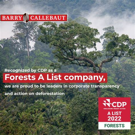 Barrycallebaut Cdpalist Netzero Forests Foreverchocolate Massimo Selmo