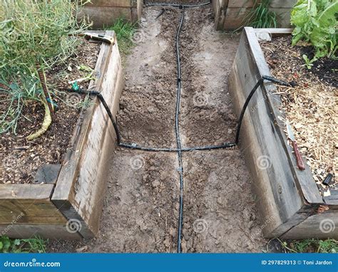 Installing Irrigation System In The Vegetable Garden Automatic