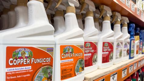 Whats The Best Fungicide For Keeping Mushrooms And Mold Out Of Your