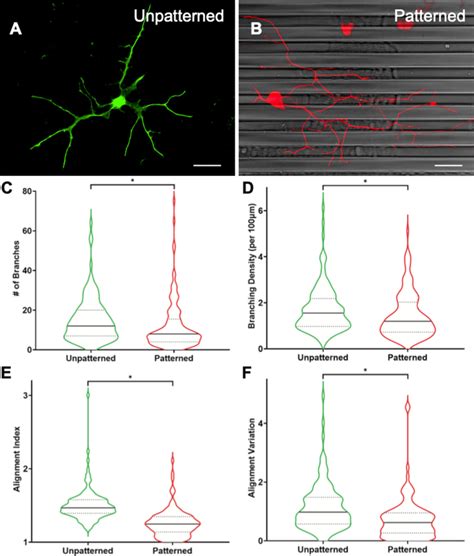 Sensitivity Of Cnn Image Analysis To Multifaceted Measurements Of Neurite Growth Bmc