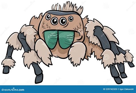 Jumping Spider Insect Character Cartoon Illustration Stock Vector Illustration Of Design