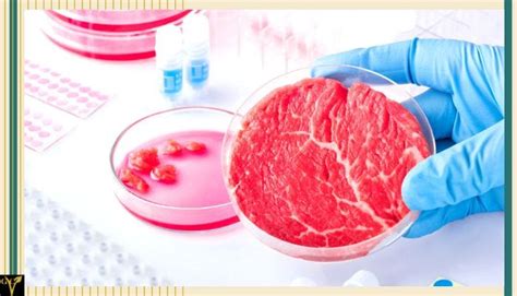 Cell Based Meat Is A Reality In A Historic Move For The Food System