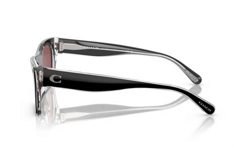 Coach Sunglasses Hc 8389u 572875 Purple عالم النظارات السعودية