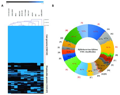 Comparative Genomics Of B Bifidum Cncm I 4319 A Hierarchical
