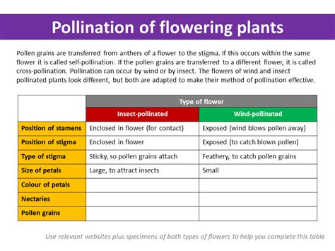 Plant Reproduction Pt 1 Flower Anatomy And Pollination For Section 3a Edexcel Igcse Biology