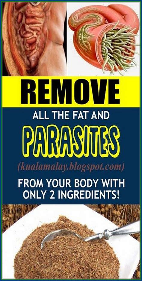 Remove All The Fat And Parasites 2 Ingredients Natural Remedies For