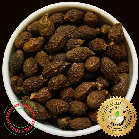 Niranjan Phal Sterculia Lychnophora Latest Price Manufacturers And Suppliers