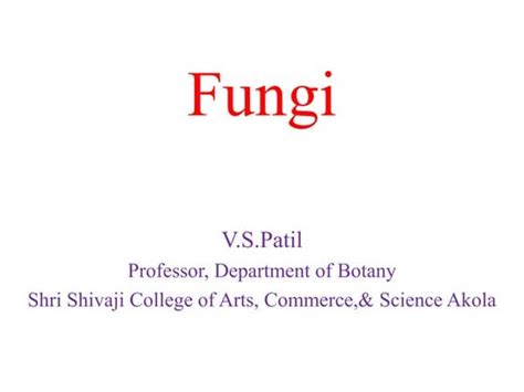 General Characteristics And Classification Of Fungi Ppt