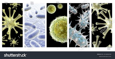 Collection Horizontal Vertical Banners Pathogenic Bacterias Stock Illustration 2214696359