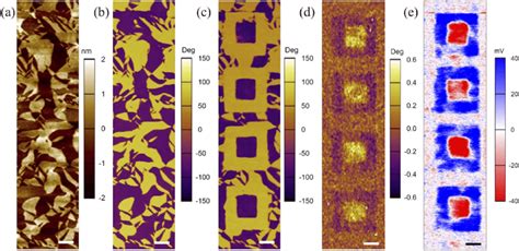 A Topography Image Of 001 Oriented Pmn Pt Single Crystal Download Scientific Diagram