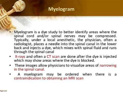 Procedures Xrays Radiographs Computerized Tomography Ct Scan Myelogram