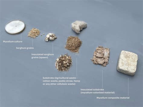 Mycelium Project Kick Off Circular Design Co