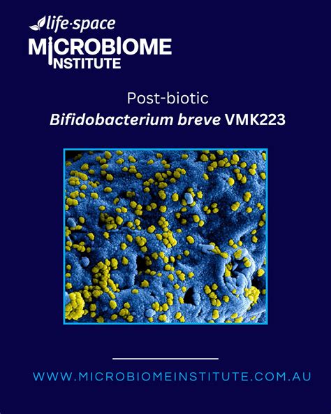 How To Use Postbiotic From Bifidobacterium To Improve Health Life