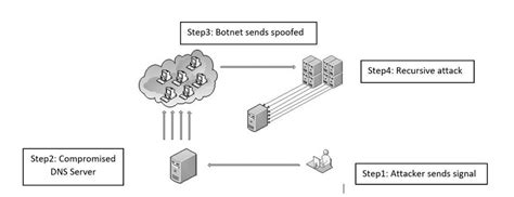 dns amplification ddos attack e malformed packet to crash the