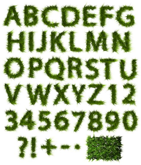 Buy Grass Font And Add Some Eco Personality To Your Headlines