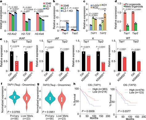 Histone Demethylase Kdm5d Upregulation Drives Sex Differences In Colon