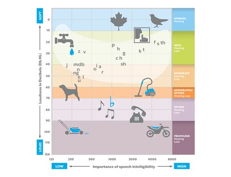 What Is An Audiogram Understanding Hearing Test Results