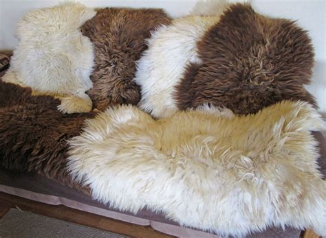Arriola Sunshine Farm Store Navajo Churro Sheep And Wool Products