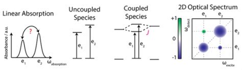 Two Dimensional Optical Spectroscopy Laser Chemistry Spectroscopy And Dynamics Group