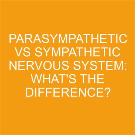 Parasympathetic Vs Sympathetic Nervous System Whats The Difference