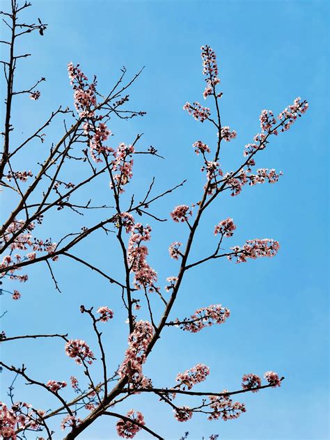 按不出吧一天n1按不出吧一天n1不陈按不出吧一天n1按不出吧一天n1不陈吧一天 Photos Download The Best Free 按不出吧一天n1按不出吧一天n1不陈按不出吧一天