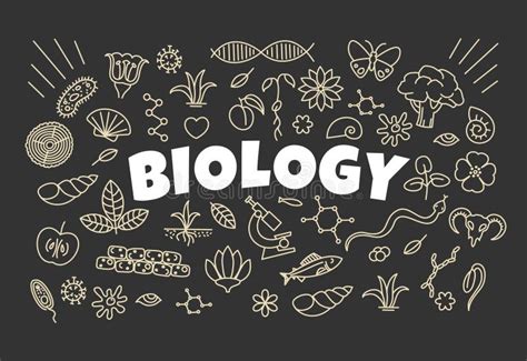 Biology Background With Signs And Symbols Science Stock Vector