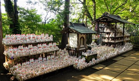 Gotokuji Temple Tokyo Cheapo