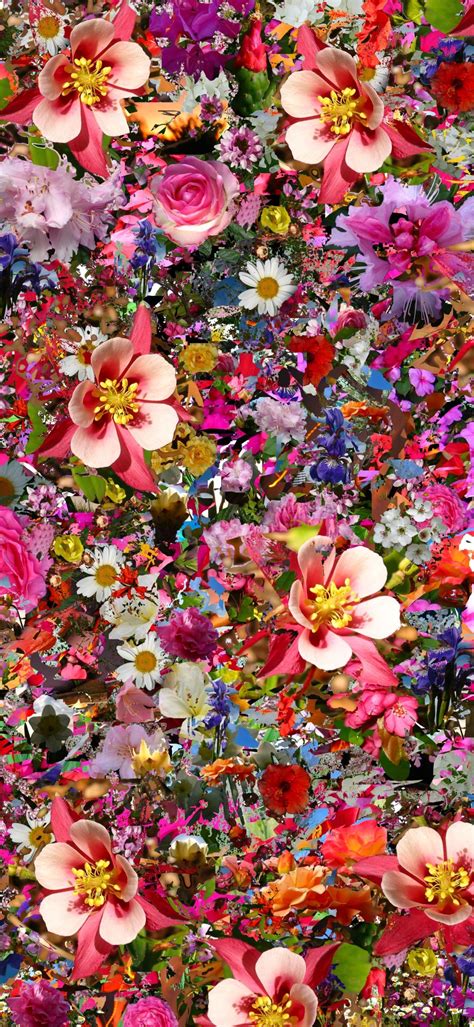 Flower Phone Wallpapers 4k Hd Backgrounds On Wallpaperbat