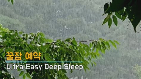 거센 빗소리 꿀잠예약 Ultra Easy Deep Sleep Cool Rain 시원한 폭우 빗소리에 Cool Rain Sound 수면유도 스트레스 해소 집중