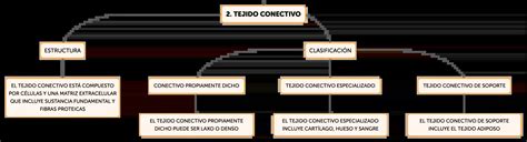 Tipos Básicos De Tejidos Humanos Y Sus Funciones Algor Cards