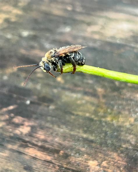 Opal Mae Farms Opalmaefarms • Instagram Photos And Videos