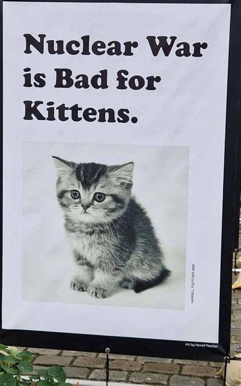 Lolcats Nuclear Kitten Crisis Internet Humor At Its Peak