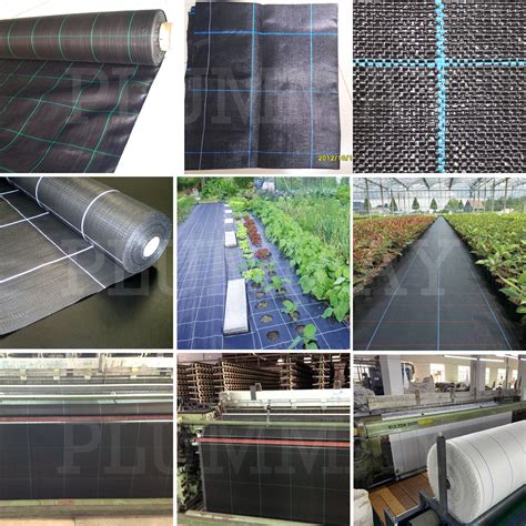 Pp Woven Fabric With Grid