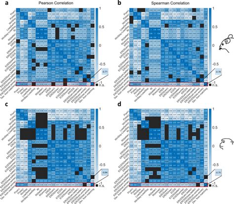 correlation between undermatching and proposed entropy based metrics