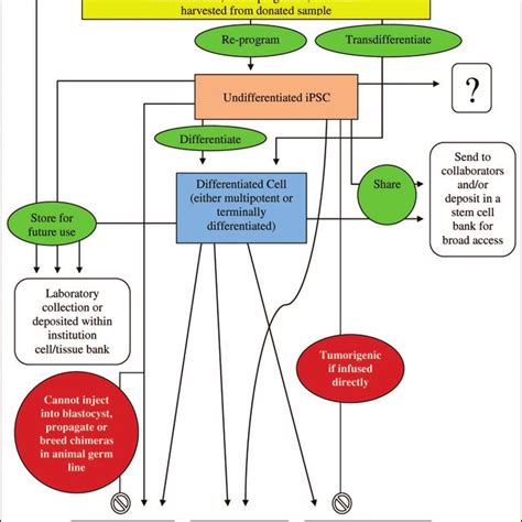 A Flowchart Depicting The Ways In Which A Specimen Obtained For Ipsc