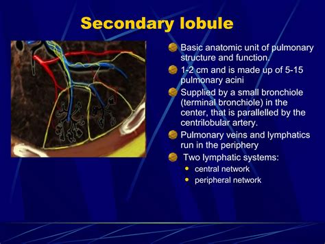 Hrct Reticular Pattern Ppt