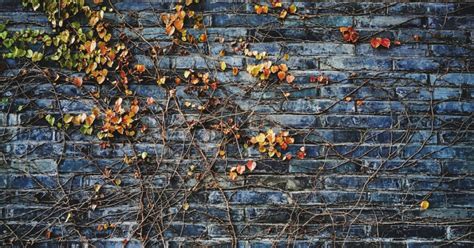 beyond the wall intricacies of firewall penetration testing