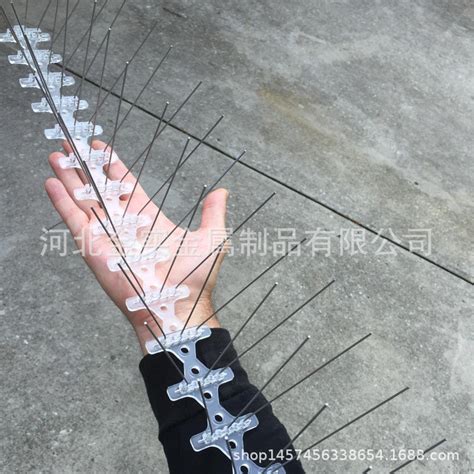 跨境驱鸟器 防鸟刺 Jsr Pc5060纸盒包装鸟刺 塑料板不锈钢防鸟刺 阿里巴巴