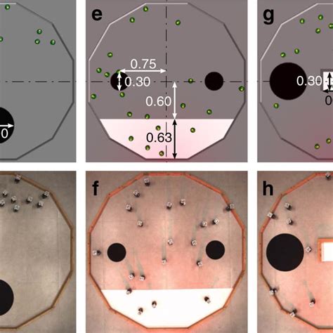 Arenas For The Five Missions A Xor Aggregation Simulation B Real Download Scientific Diagram