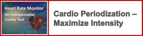 Periodization Training Program Functional Strength